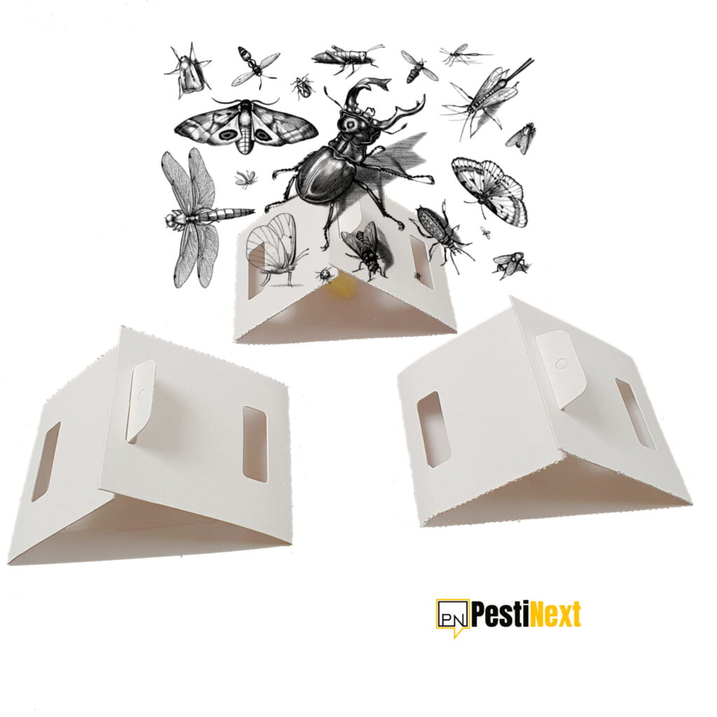 Insecten Lijmval - Insectenval - 30 stuks - PestiNext