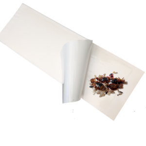 Bedwants Lijmval XL: Effectieve Groot Formaat Bescherming