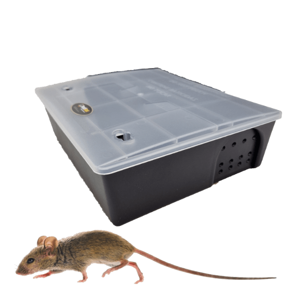 Muizenval maken | Zelf je muizen vangen met een eigen val