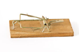 Muizenval maken | Zelf je muizen vangen met een eigen val