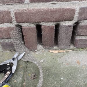 Muizen gaten dichten: Muizen knagen en kieren dichtmaken