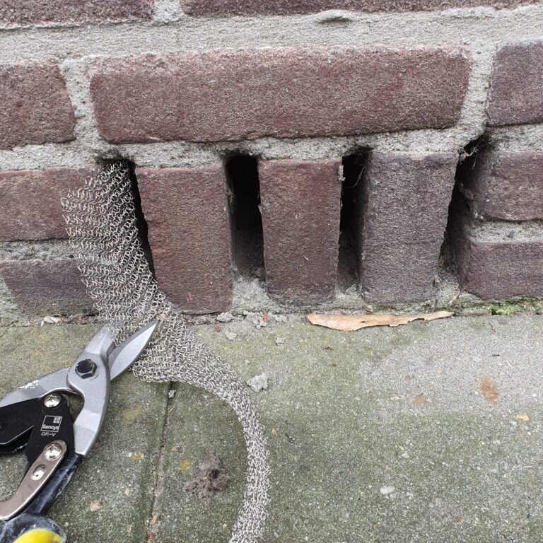 Muizen gaten dichten: Muizen knagen en kieren dichtmaken